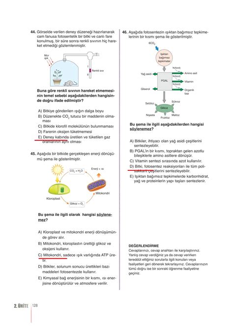 12 Sınıf Biyoloji Meb Yayınları Sayfa 128 Cevapları