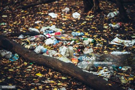식물 중 숲에 쓰레기 더미 모든 곳에서 자연에 독성 플라스틱 식물 중 공원에서 쓰레기 더미 오염 된 토양 자연 오염 생태학적 문제 러시아 바나울 2019년 9월 12일