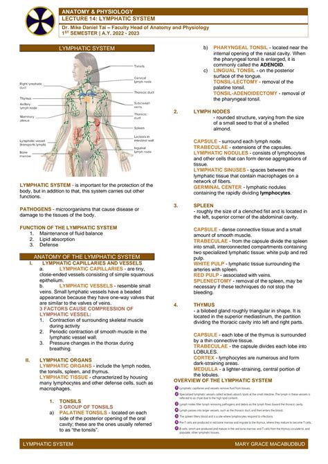 SOLUTION Chapter 14 Lymphatic System Studypool