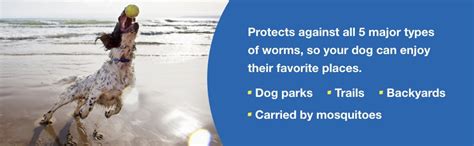 Interceptor Plus Prevention For Heartworm 4 Other Worms