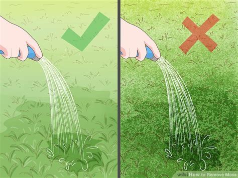 3 Ways To Remove Moss Wikihow