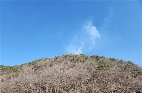 전남 화순 산불52분 만에 주불 진화 파이낸셜뉴스