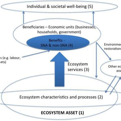 General Ecosystem Accounting Framework [source Seea Eea] Download