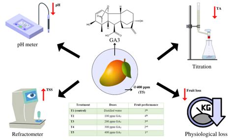 Graphical Abstract Representing The Effects Of Gibberellic Acid Ga3