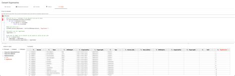 script toevoegen aan dataset