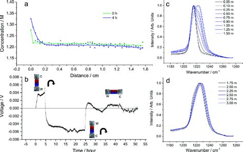 Asymmetric Concentration Gradients A Formation Of Concentration