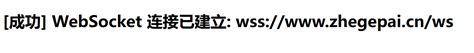 Nginx 配置 与 Wss 完整指南nginx Wss Csdn博客