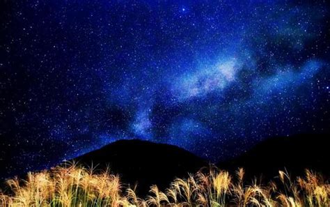 무료 사진 {{제목}}