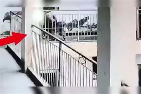 两个高中生楼道内打闹谁知护栏不堪重负监控拍下父母心碎一幕 监控 护栏 楼道