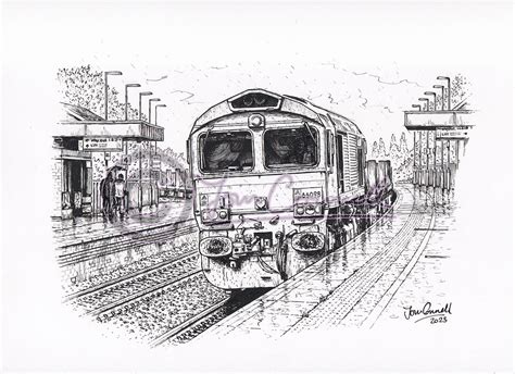 Tom Connell Illustration