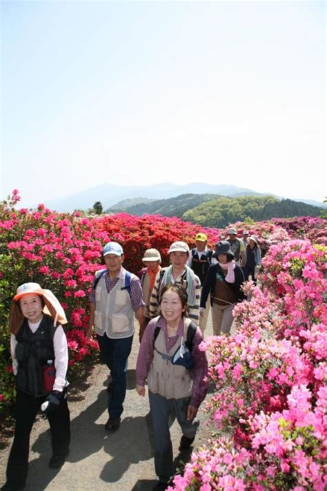 商工つつじまつり in 須恵 イベント 公式福岡県の観光 旅行情報サイトクロスロードふくおか