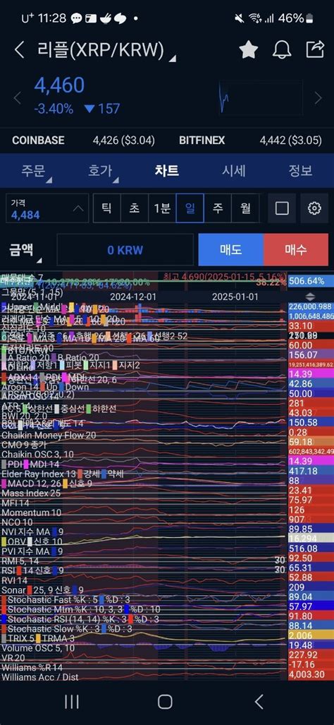 리플 차트 분석 공유 고인물임 가상화폐 에펨코리아