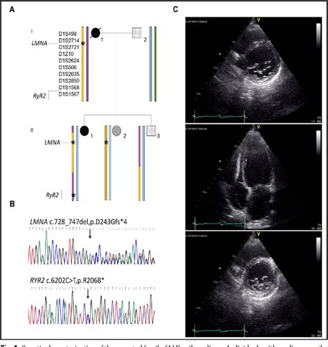 Figure 1 From Functional Characterization Of A Novel Truncating