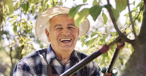 Esta Es La Pensión Máxima Que Puede Cobrar Un Jubilado Al Mes En España Infobae