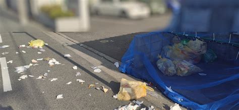 カラス被害に困っていませんか？ごみ置き場リニューアルレポート アパート・マンション管理なら名古屋の名城企画株式会社