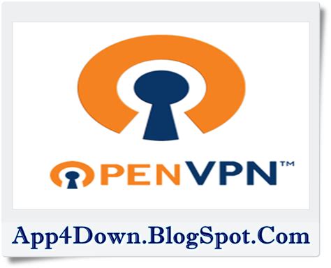 Openvpn Windows 11