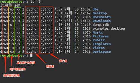 Linux文件和目录 Csdn博客