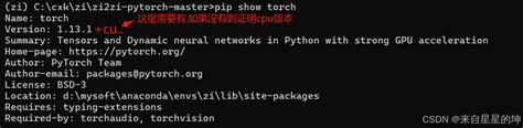Pytorch安装后cuda无法使用的解决方案 思路超清晰 一键避坑 Pytorch Cuda不可用 Csdn博客