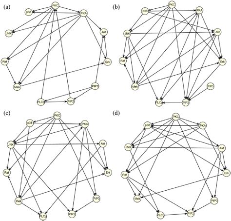 Comparison Of Three Bayesian Network Models On Sachs Et Als Data A