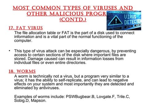 Computer Viruses Types And Preventions Ppt