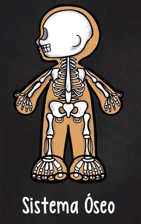 An Image Of A Skeleton With The Words Sistema Oseo Written Below It