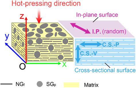 Schematic Illustration Of Microstructural Characteristics And The Download Scientific Diagram