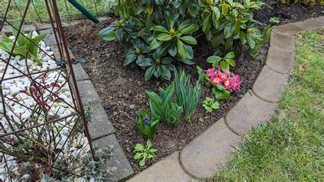 Мои комнатные и уличные цветы 🌸 12 3 2024 год Youtube