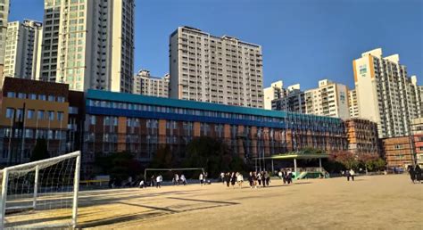 경기도 광명 중학교 순위 특목고 진학 수