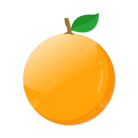Orange Vector Icon Orange Fruit Orange Vector Orange Icon Png And