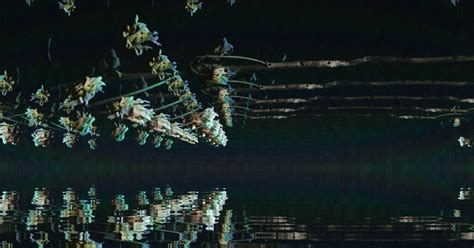 Spiritual Quest Toward Ecological Aesthetic Are Na