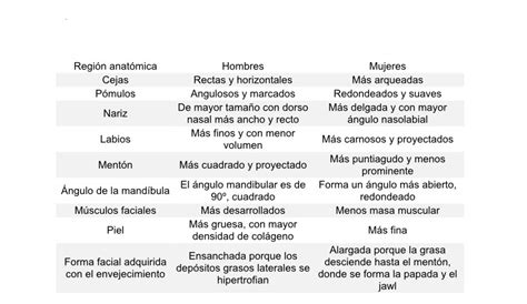 Armonización Facial Masculina Como Rejuvenecer Al Hombre Sin