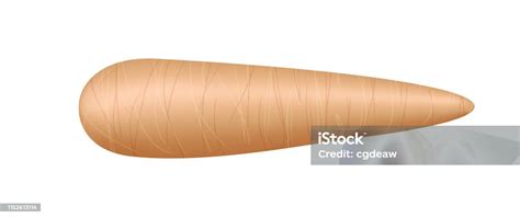 원시 카사 바 신선한 흰색 배경에 고립 타 피 오카 밀가루 산업 또는 에탄올 산업에 대 한 카사 바 컷 슬라이스 더미 유카 카사 바 덩이 맨 위 보기에서 원시 마네킹 카사