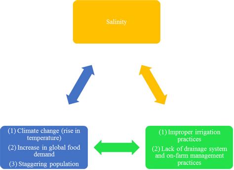 Trilogy Of Salinization Process Download Scientific Diagram