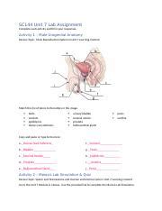 SC Unit Lab Assignment Form Docx SC Unit Lab Assignment Complete Each Activity And