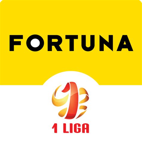 Polish I Liga 2021 2022 Season Wisla Plock Schedual