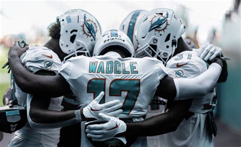Miami Dolphins Proyecta Una Gran Temporada Te Contamos Todo Lo Que
