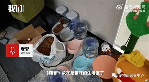 为救3只被困猫咪，深圳卫健委竟这样做，获得数十万网友怒赞！猫被困封控楼 深圳卫健委霸气回应宠物城市