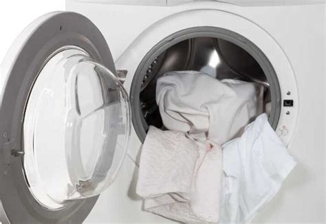 Delay Wash On LG Washer All You Need To Know