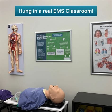 Oxygen Administration Flowchart Limmer Education