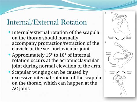 Scapulothoracic Jointpptx Powerpoint Presentation Pptx