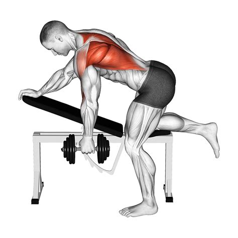 Barbell Row Vs Dumbbell Row Differences Explained Inspire US