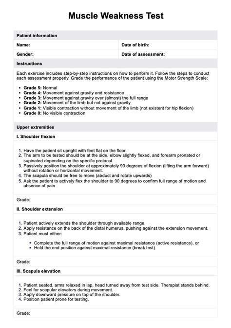 Muscle Test And Example Free Pdf Download