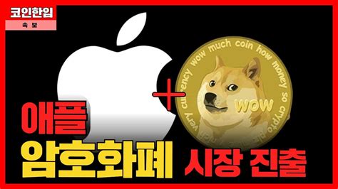 도지코인초특급호재 아이폰 쓰는 분 필수로 보세요 애플 암호화폐 시장 진출한답니다 이제 한국에서 애플페이 사용 가능한 Youtube