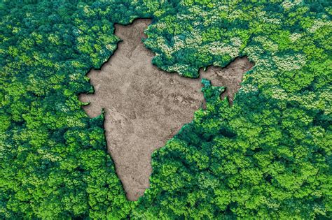 Premium Photo Sustainable Habitat Map Of India Environment Concept