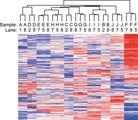 Assessment Of Microrna Differential Expression And Detection In