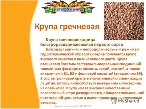 Презентация на тему Группа Компаний «КЛИР ЭКСПОРТ О компании