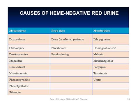 Hematuria Causes And Evaluation Ppt