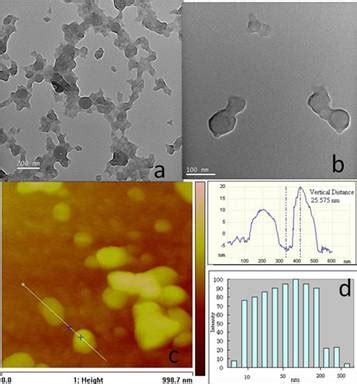 Unimolecular Polymeric Janus Nanoparticles Synthesis Self Assembly And Applications