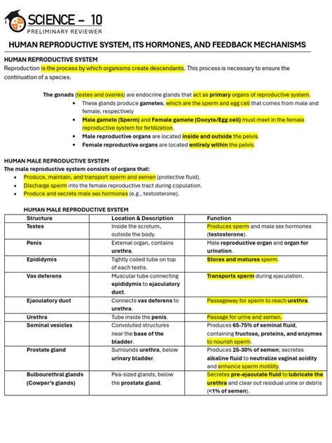 Science Prelim Reviewer Gr 10 Q4 Pdf Reproductive System Sex