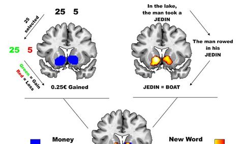 Learning A New Language Activates Same Part Of The Brain As Sex Daily Mail Online